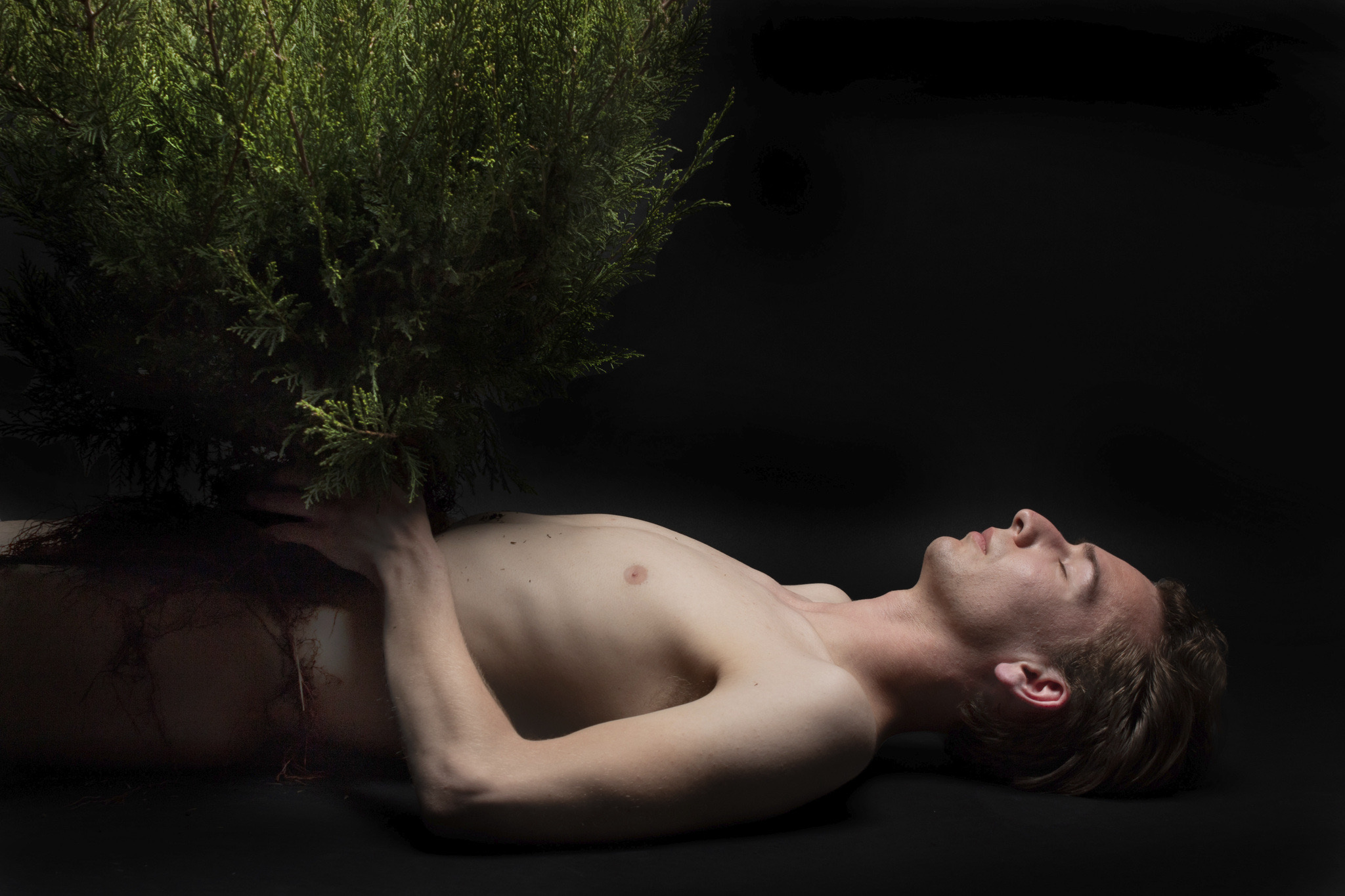 MY BODY, YOUR ROOTS – Christopher Woodward